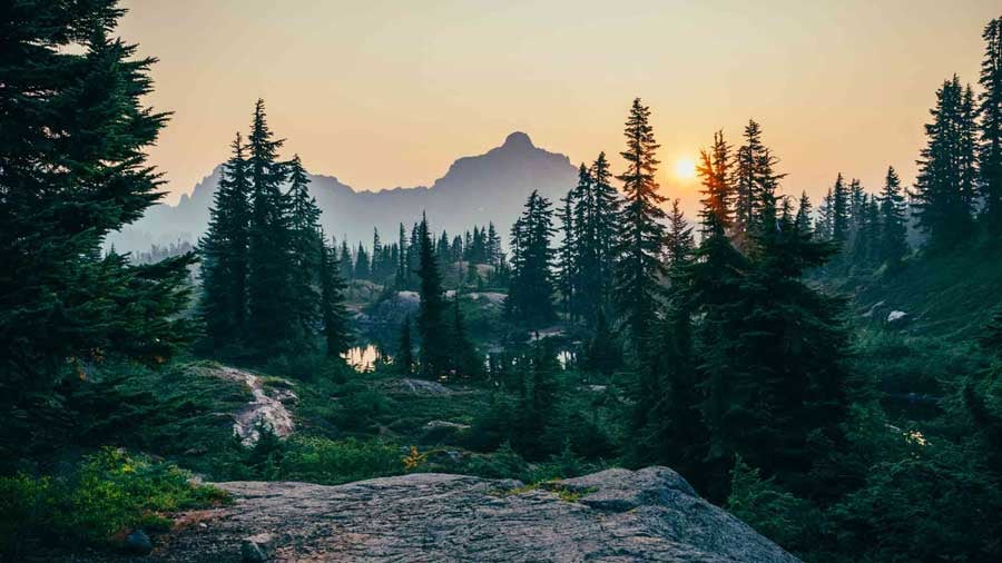 The Ultimate Guide To Visiting The Uinta National Forest
