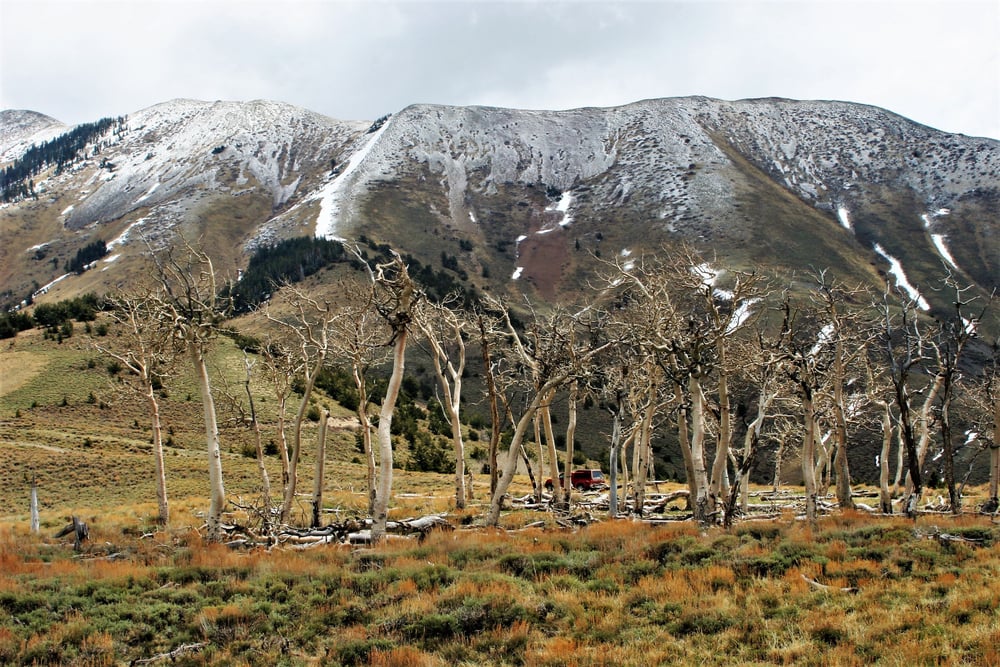 The 15 Best Dispersed Camping Spots in Utah