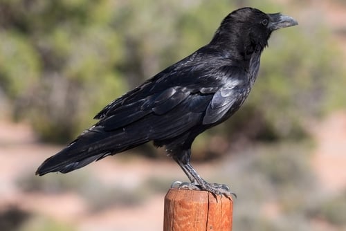 The Ultimate Guide to Moab State Park